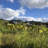 Mahana Ridge Trail, Maui, Hawaii - 1,258 Reviews, Map | AllTrails