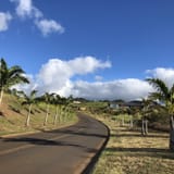 Mahana Ridge Trail, Maui, Hawaii - 1,260 Reviews, Map | AllTrails