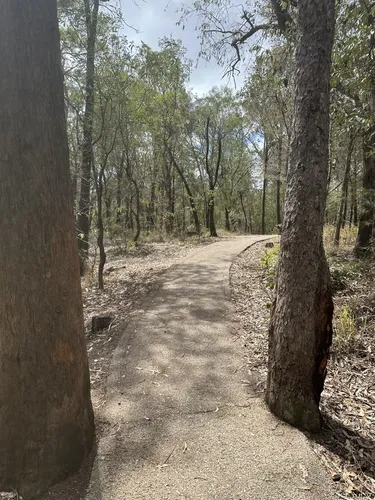 Best Hikes and Trails in Springwood Conservation Park | AllTrails