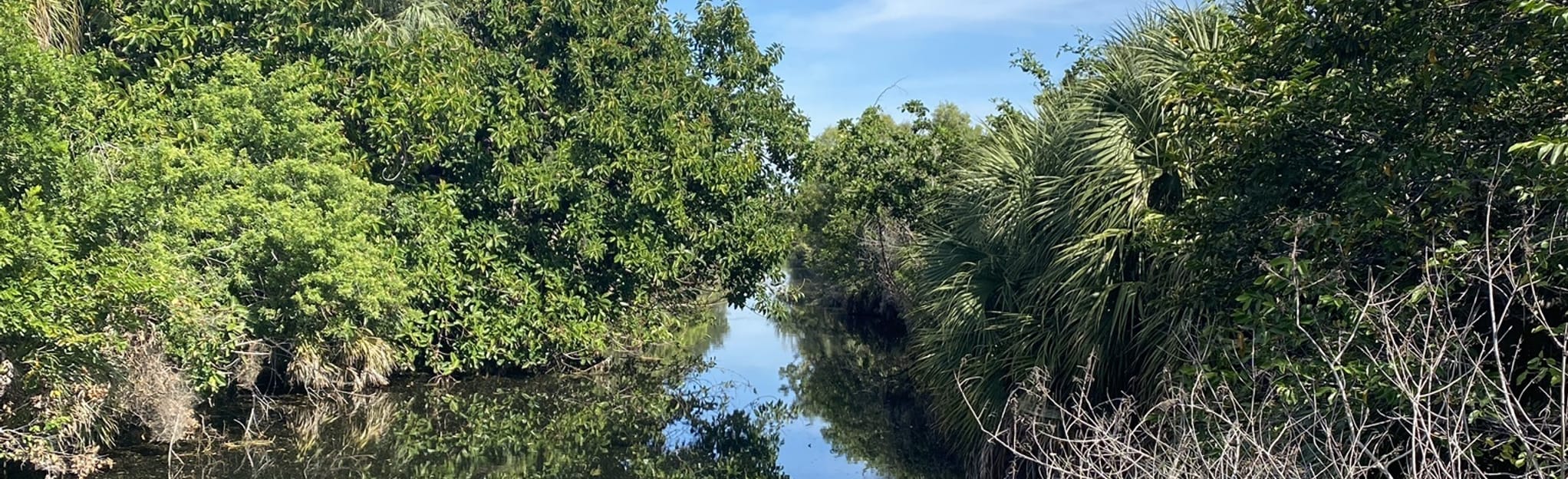 El Rio Trail, Florida - 318 Reviews, Map | AllTrails