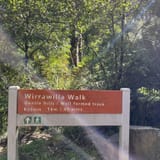 Tanglefoot Short Loop, Victoria, Australia - 327 Reviews, Map | AllTrails