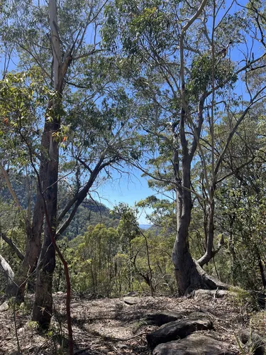 Best Hikes and Trails in Bilpin | AllTrails