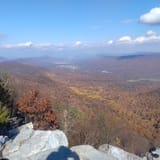 Hogback Mountain Trail, Pennsylvania - 25 Reviews, Map | AllTrails