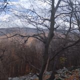 Hogback Mountain Trail, Pennsylvania - 25 Reviews, Map | AllTrails