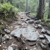 Rampart Ridge Loop, Washington - 2,039 Reviews, Map | AllTrails