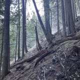 Rampart Ridge Loop, Washington - 2,039 Reviews, Map | AllTrails