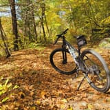 Southern New England Trunkline Trail, Massachusetts - 440 Reviews, Map ...