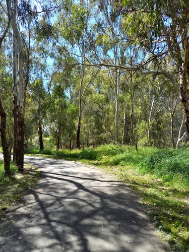 Best Hikes and Trails in Kalinga Park | AllTrails