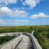 Shark Valley Tram Trail, Florida - 844 Reviews, Map | AllTrails