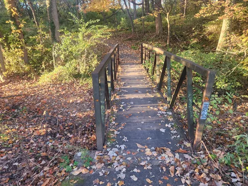 Best Road Biking Trails in Silver Spring | AllTrails