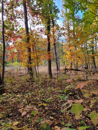 2023 Best Lake Trails in Hunt Valley | AllTrails