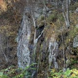 Lewis Spring Falls Trail, Virginia - 1,335 Reviews, Map | AllTrails