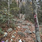 Blackstone Gorge Trail, Massachusetts - 553 Reviews, Map | AllTrails
