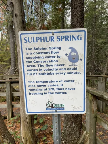 Sulphur Spring Conservation Area: de beste routes om te wandelen ...