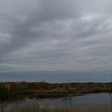 Lake Leota Trail, Michigan - 478 Reviews, Map | AllTrails