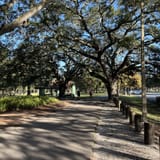 Al Lopez Park Trail, Florida - 290 Reviews, Map | AllTrails