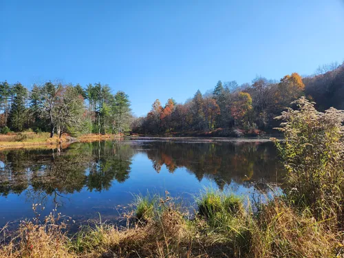 Best Waterfall Trails in Stokes State Forest | AllTrails