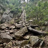 Crane Mountain Loop Hike, New York - 1,341 Reviews, Map | AllTrails