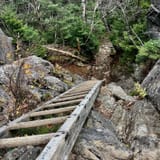 Crane Mountain Loop Hike, New York - 1,341 Reviews, Map | AllTrails