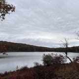Pine Swamp Loop, New York - 1,220 Reviews, Map | AllTrails