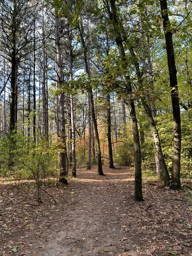 Best Hikes and Trails in Provin Trails Park | AllTrails