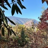 Sutton Ridge Overlook Trail, Tennessee - 495 Reviews, Map | AllTrails
