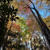 Sutton Ridge Overlook Trail, Tennessee - 495 Reviews, Map | AllTrails