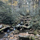 Sutton Ridge Overlook Trail, Tennessee - 495 Reviews, Map | AllTrails