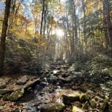 Sutton Ridge Overlook Trail, Tennessee - 495 Reviews, Map | AllTrails