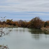 Halibut Point Trail, Massachusetts - 1,181 Reviews, Map | AllTrails