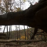 Sky Bridge Trail, Kentucky - 2,187 Reviews, Map | AllTrails