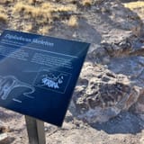 Trail Through Time, Colorado - 328 Reviews, Map | AllTrails