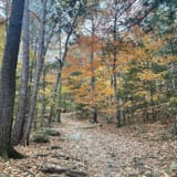 Mount Major via Main Trail, New Hampshire - 1,723 Reviews, Map | AllTrails