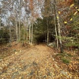 Mount Major via Main Trail, New Hampshire - 1,723 Reviews, Map | AllTrails