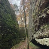 Panther Den Loop, Illinois - 846 Reviews, Map | AllTrails