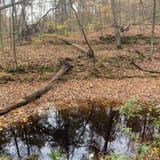 Panther Den Loop, Illinois - 846 Reviews, Map | AllTrails