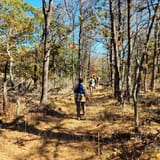 Paumanok Path, New York - 126 Reviews, Map | AllTrails