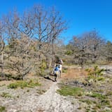Paumanok Path, New York - 126 Reviews, Map | AllTrails