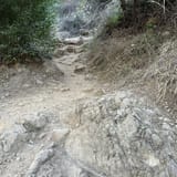 Inspiration Point, California - 3,842 Reviews, Map | AllTrails