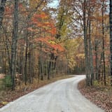 Auxier Ridge Trail to Courthouse Rock, Kentucky - 1,982 Reviews, Map ...