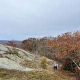 Scenic Trail Cut-off and Maiden Cliff Trail, Maine - 1,377 Reviews, Map ...