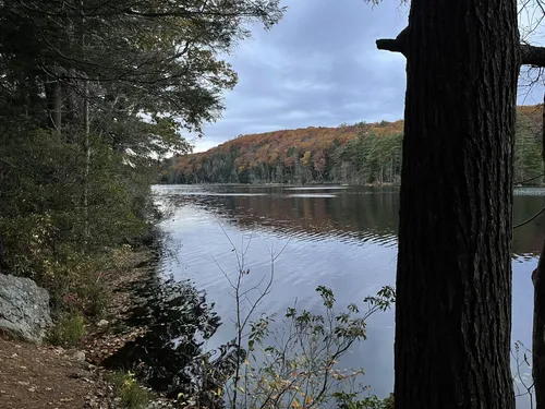 Best Hikes and Trails in Nipmuck State Forest | AllTrails