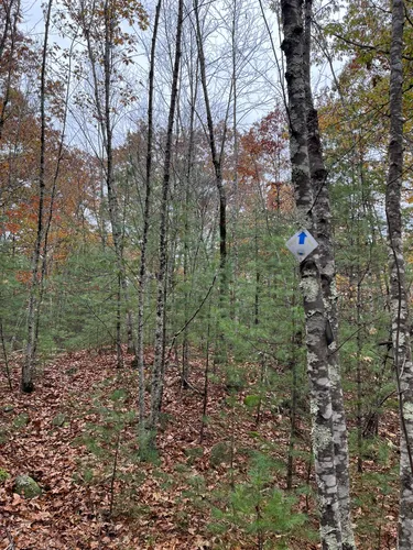2023 Best Lake Trails in Durham | AllTrails