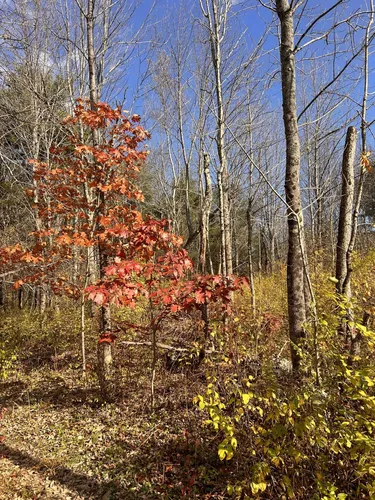 Best Hikes and Trails in Stover Preserve | AllTrails