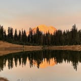 Tipsoo Lake Loop, Washington - 458 Reviews, Map | AllTrails