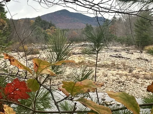 Best Hikes and Trails in Albany Town Forest | AllTrails