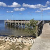 Coastal Anclote Trail, Florida - 192 Reviews, Map | AllTrails
