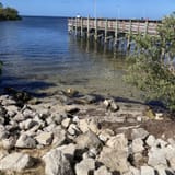 Coastal Anclote Trail, Florida - 192 Reviews, Map | AllTrails