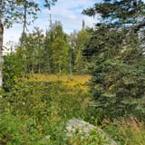 Moose Flats Loop Trail, Alaska - 114 Reviews, Map | AllTrails