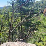 Lost Canyon Trail, Wisconsin - 891 Reviews, Map | AllTrails